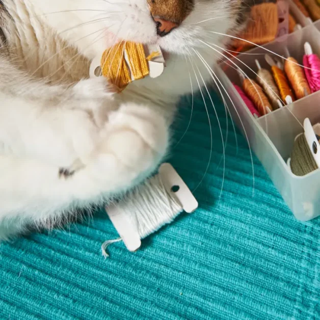 Step-by-Step Guide on How to Clean Dirty Cross Stitch Projects - Craft ...